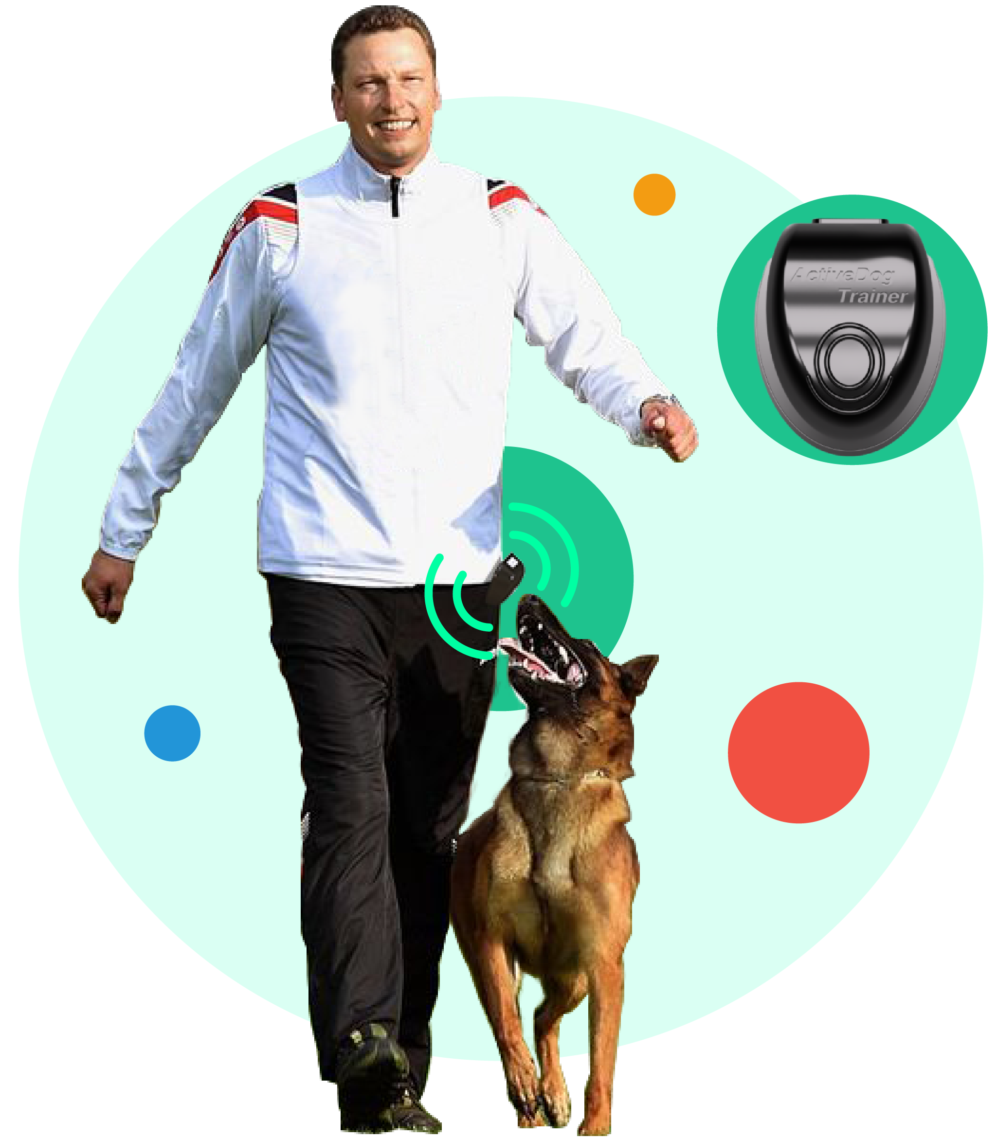 Active Dog Trainer The Best Positive Training For Your Dog